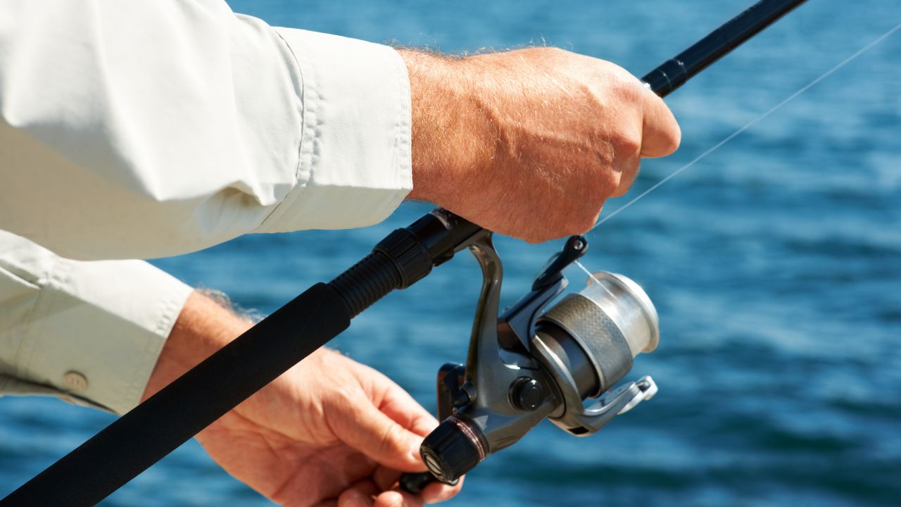 Fishing in Paradise: Your Guide to Sportfishing in Los Cabos